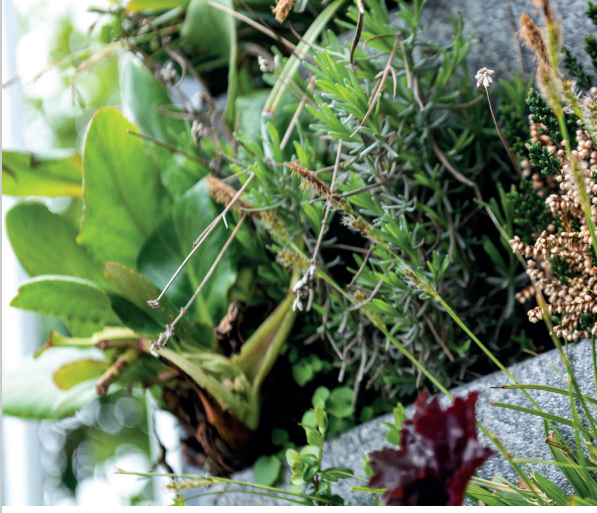 Mobi Panel – Vertical Greenery