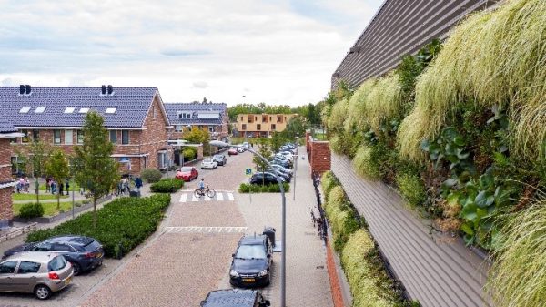 Projekti 2021/2022 – Vertical Greenery