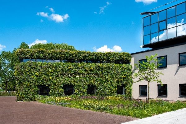 Projekti 2021/2022 – Vertical Greenery