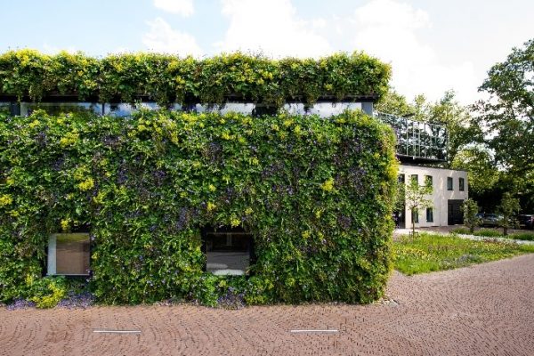 Projekti 2021/2022 – Vertical Greenery