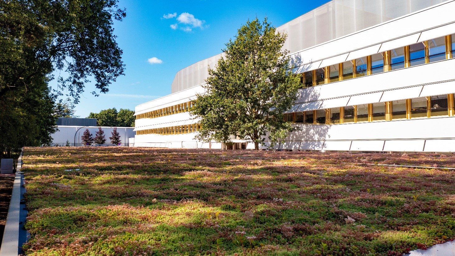 Projekti 2021/2022 – Vertical Greenery